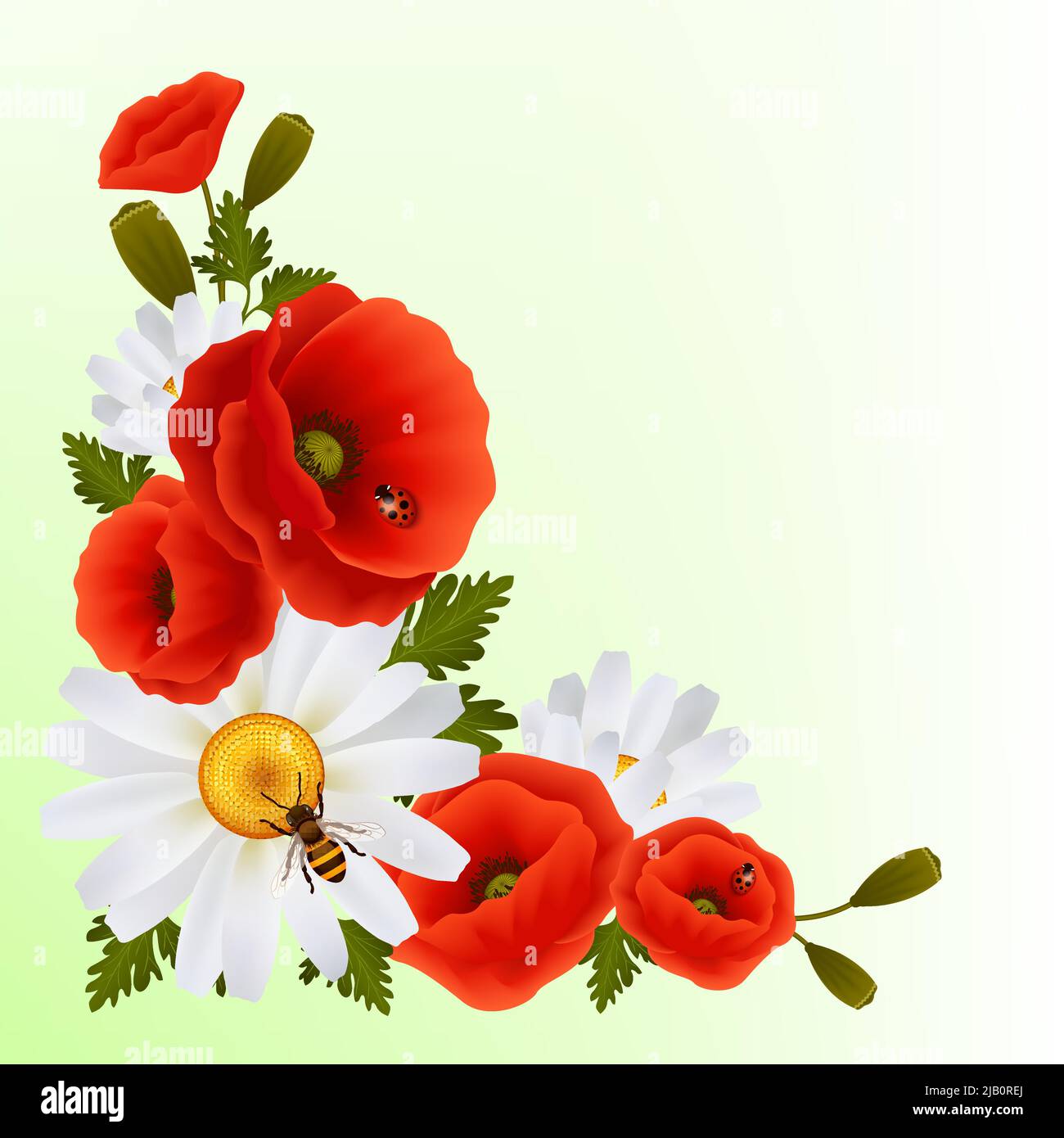 Poppy daisy field vibrant Stock Vector Images - Alamy