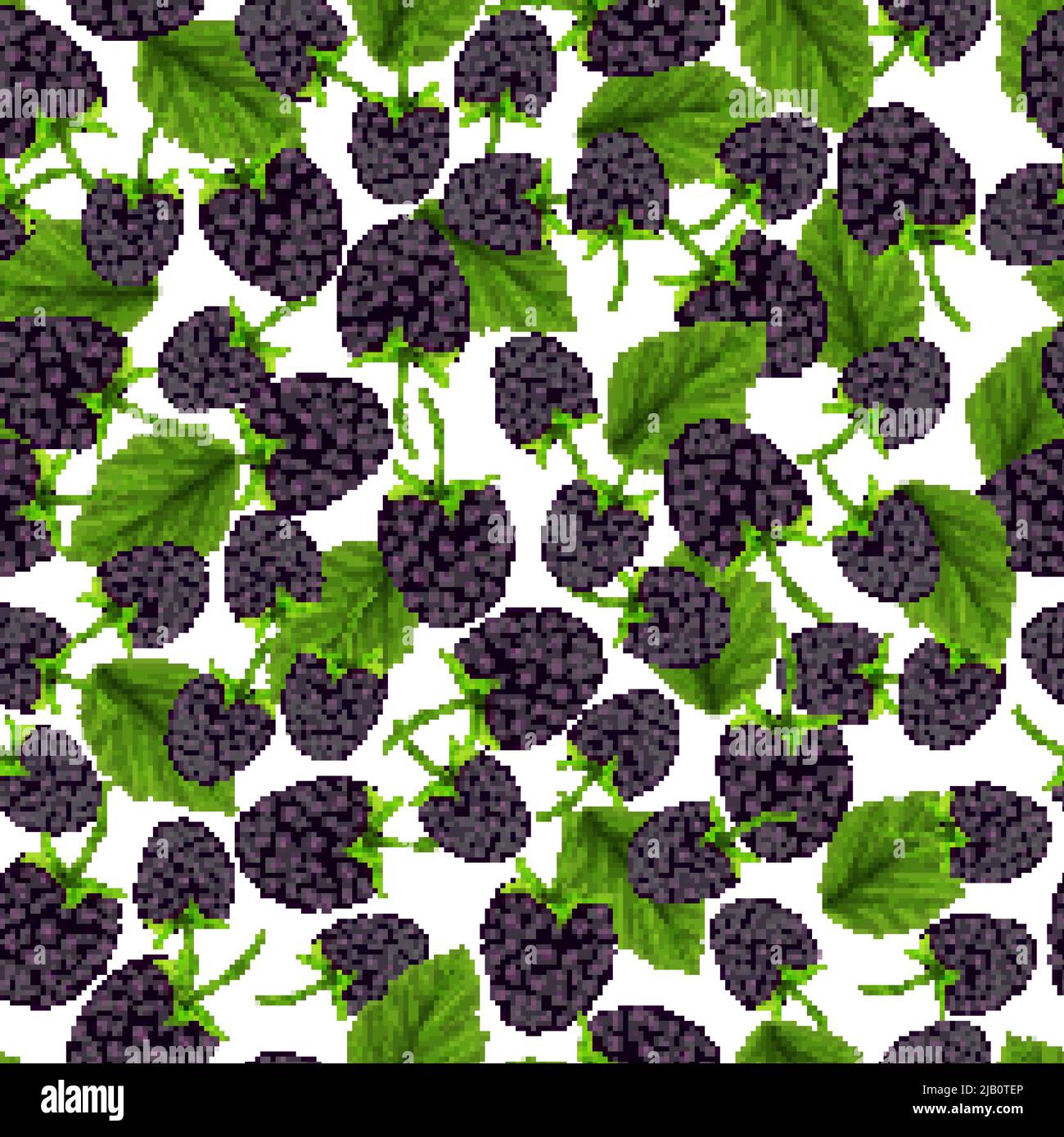 Natural fresh organic garden blackberry seamless pattern vector ...
