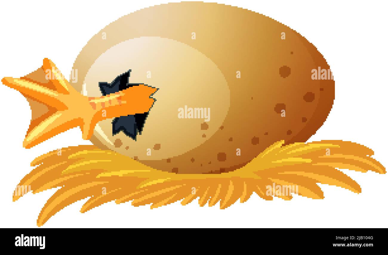 Hatching duck egg isolated illustration Stock Vector Image & Art - Alamy
