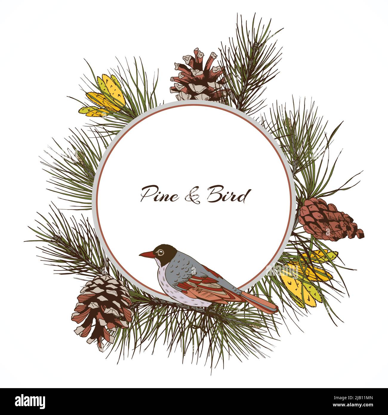Colored pine branches label with cones frame and sitting bird vector ...