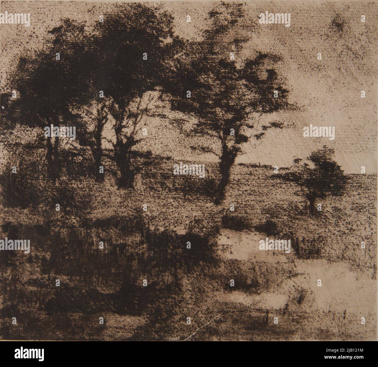 [Landscape with a group of trees] unknown Stock Photo - Alamy