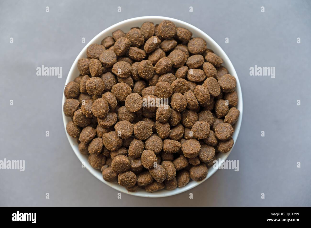 Dry pelleted pet food against a gray background. White ceramic bowl ...