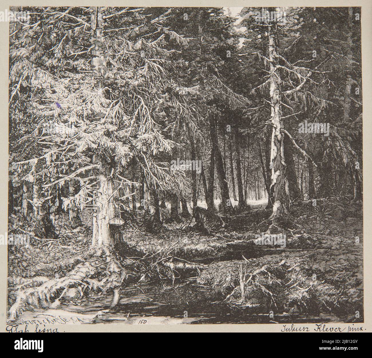 Forest depth according to the image of Yuly Klever. Heuer, Gustav (n.n ...