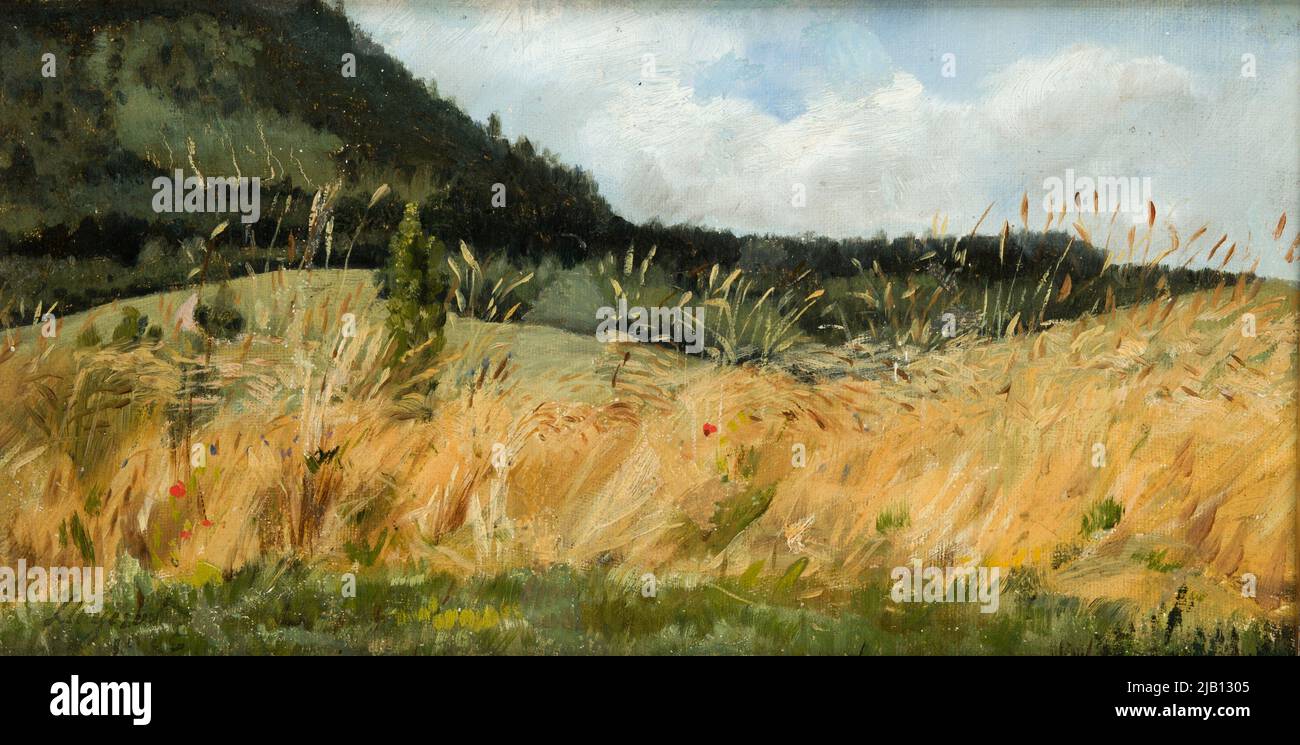 Corn Field Wyczózó Kowski, Leon (1852 1936 Stock Photo - Alamy