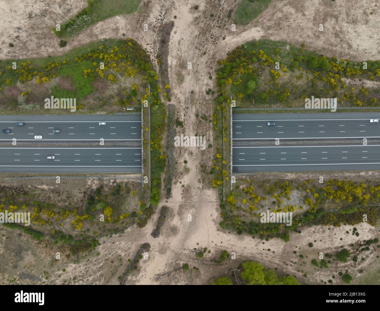 Ecoduct crossing highway hi-res stock photography and images - Alamy