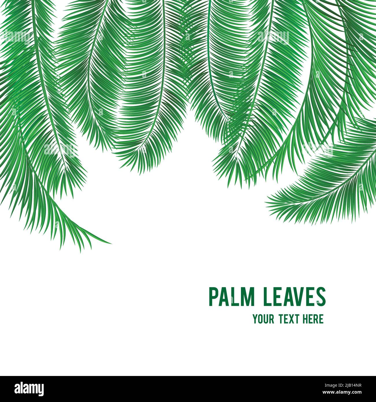 Tropical palm tree background banner template vector illustration Stock ...