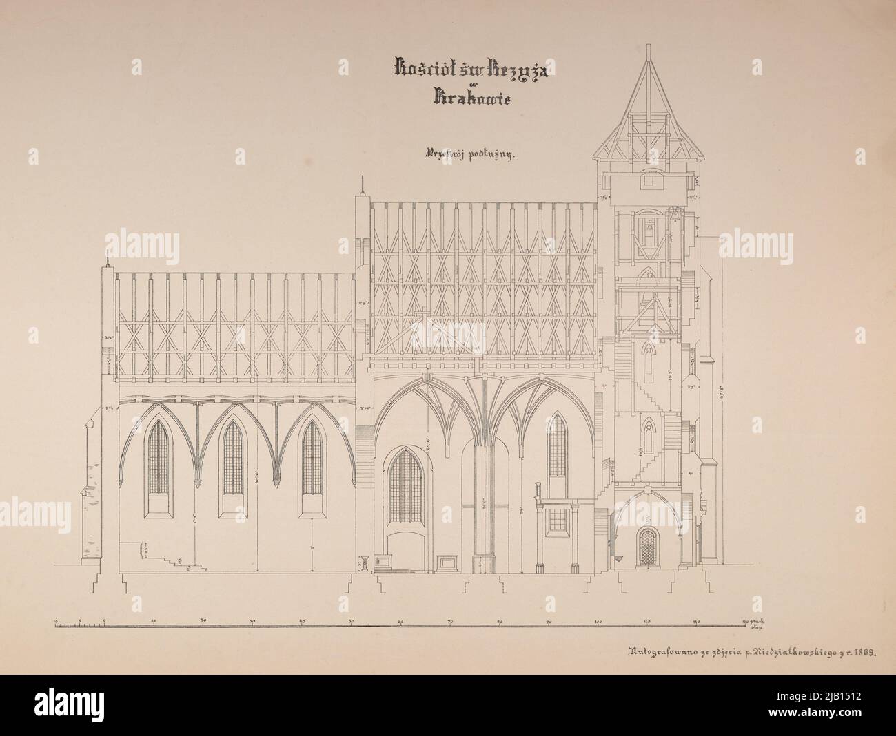 Longitudinal cross section hi-res stock photography and images - Alamy