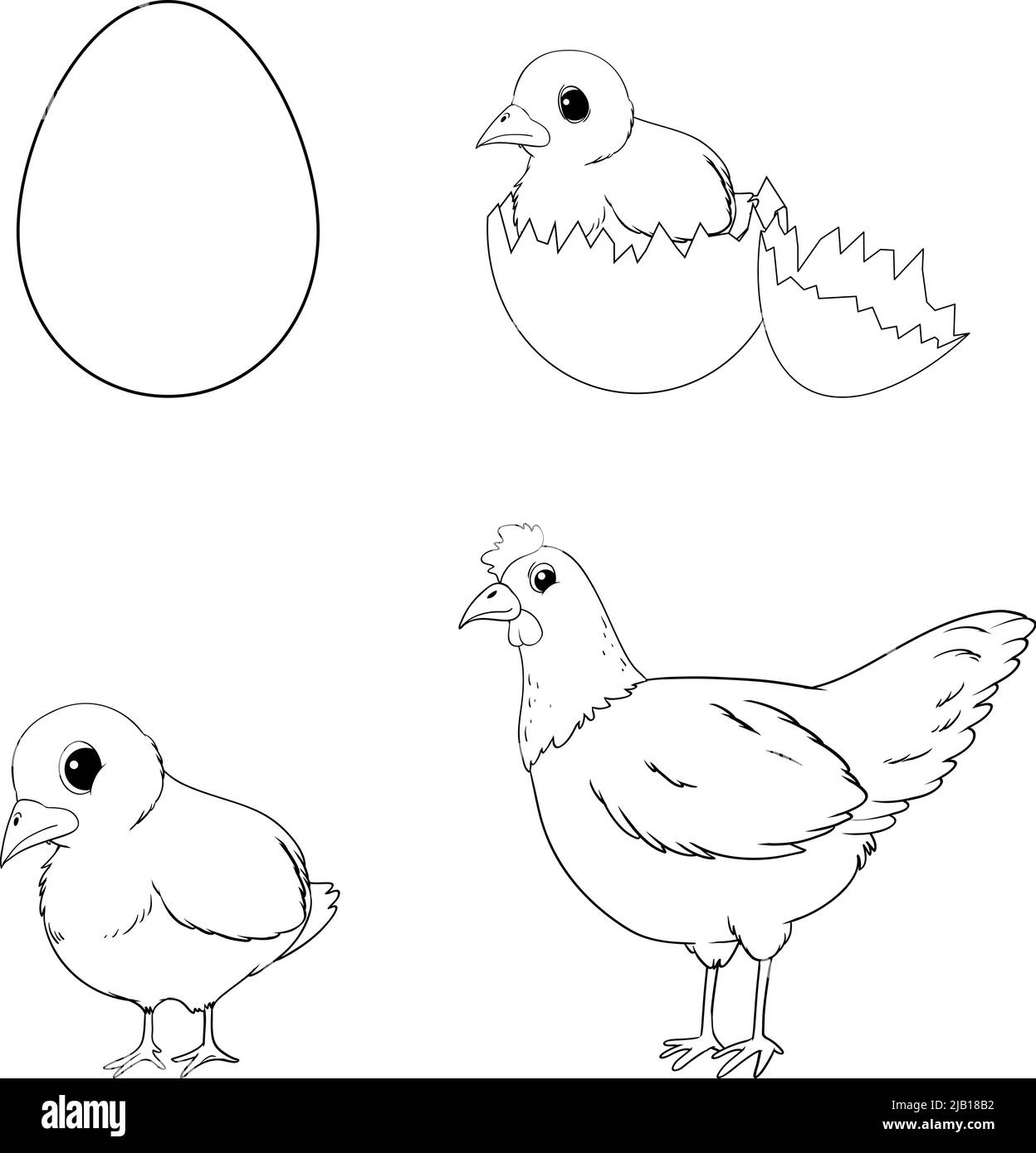 Doodle chicken life cycle illustration Stock Vector Image & Art - Alamy