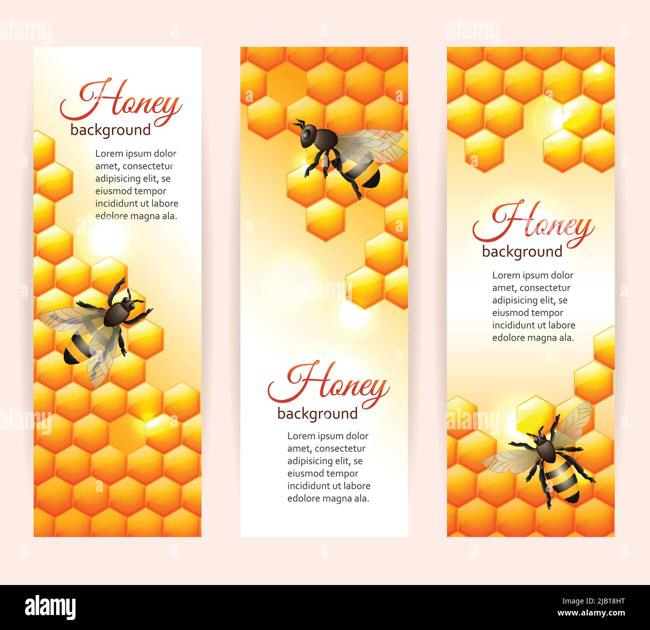 Honey bee on comb background vertical banners set isolated vector ...