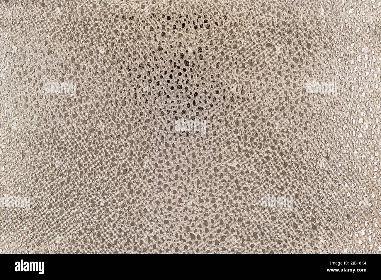 Silver sequin metallic dress hi-res stock photography and images - Alamy