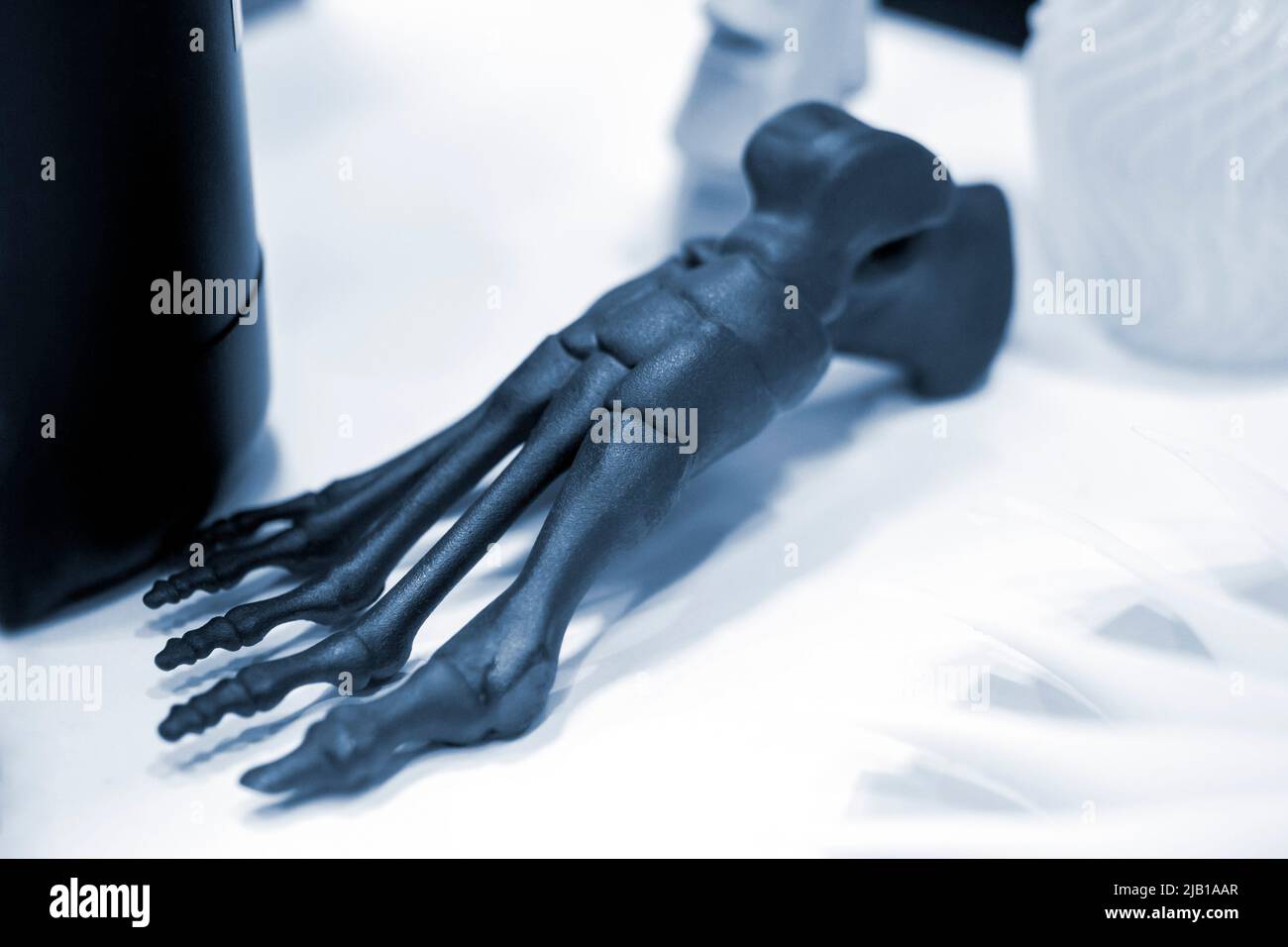Prototype human foot skeleton printed on 3D printer. Model printed on ...