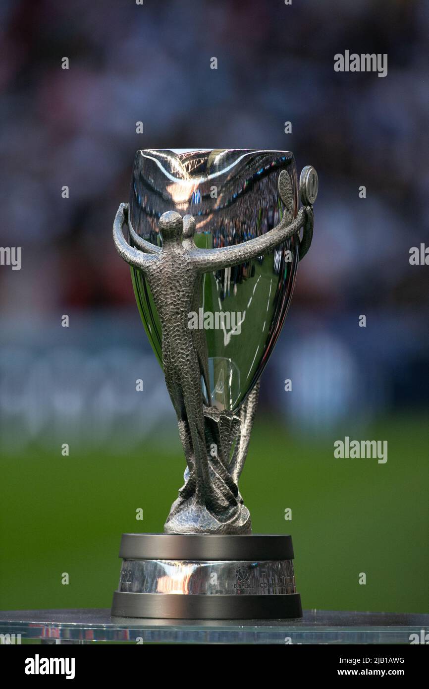 Finalissima cup before the Italy v Argentina - Finalissima 2022 match ...