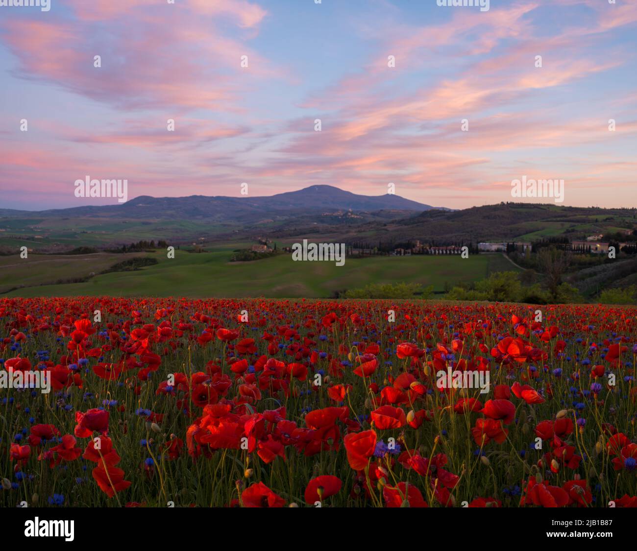 Blue tuscany meadows hi-res stock photography and images - Alamy