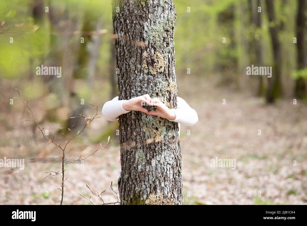 Child's hands making a heart shape on a tree trunk. Embracing ...
