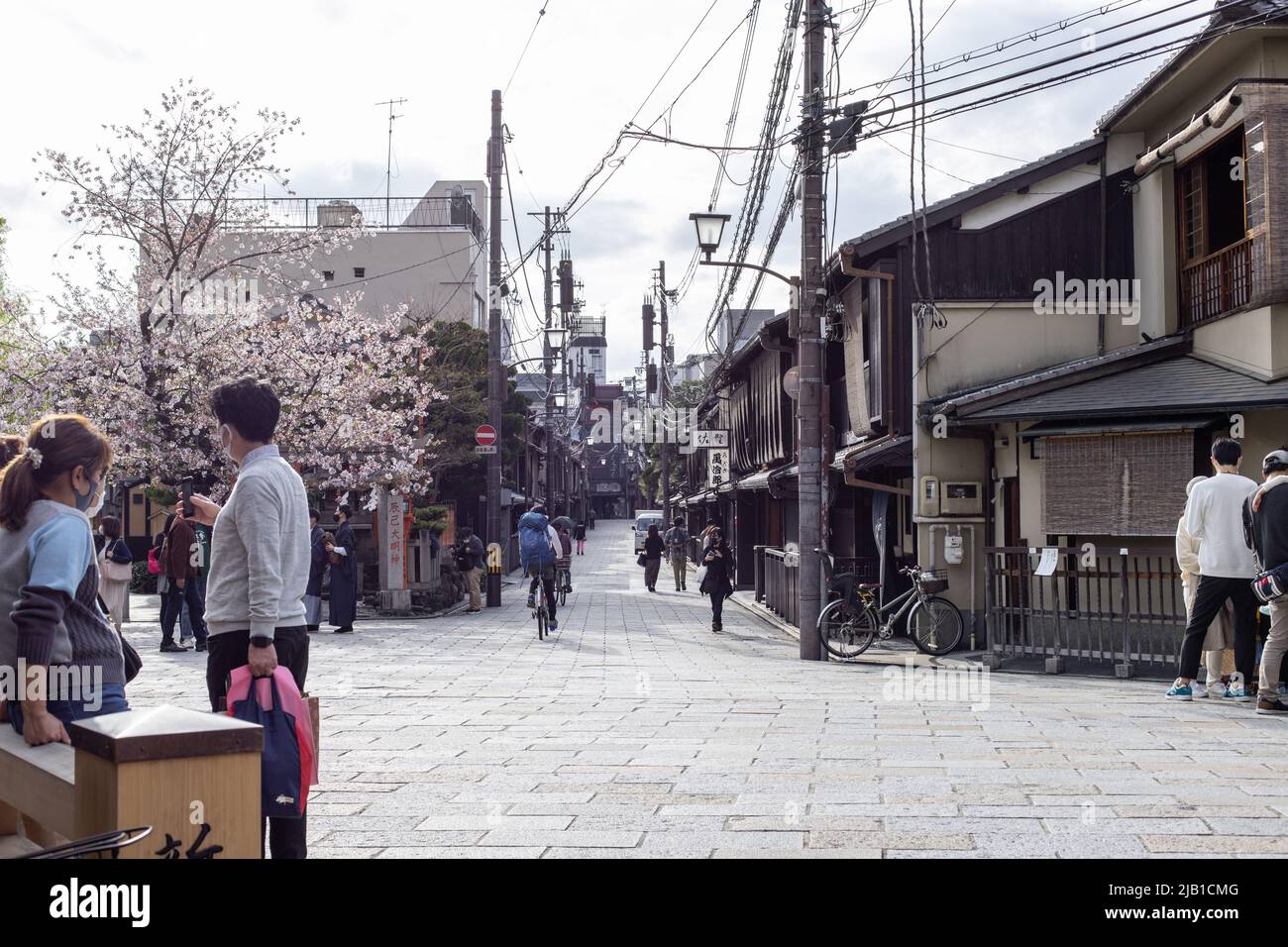 Tatsumi-bashi Bridge with Sakura cherry blossom in spring season ...