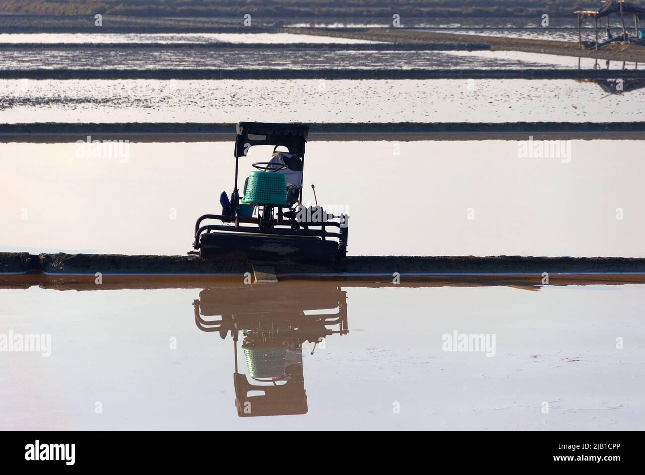 Paddy culture; rice growing: rice bay and land packer in the sowing ...