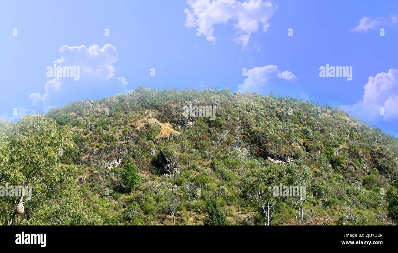 Mountain dry slopes and valleys in the Siwalik mountains, Pre-Himalayas ...