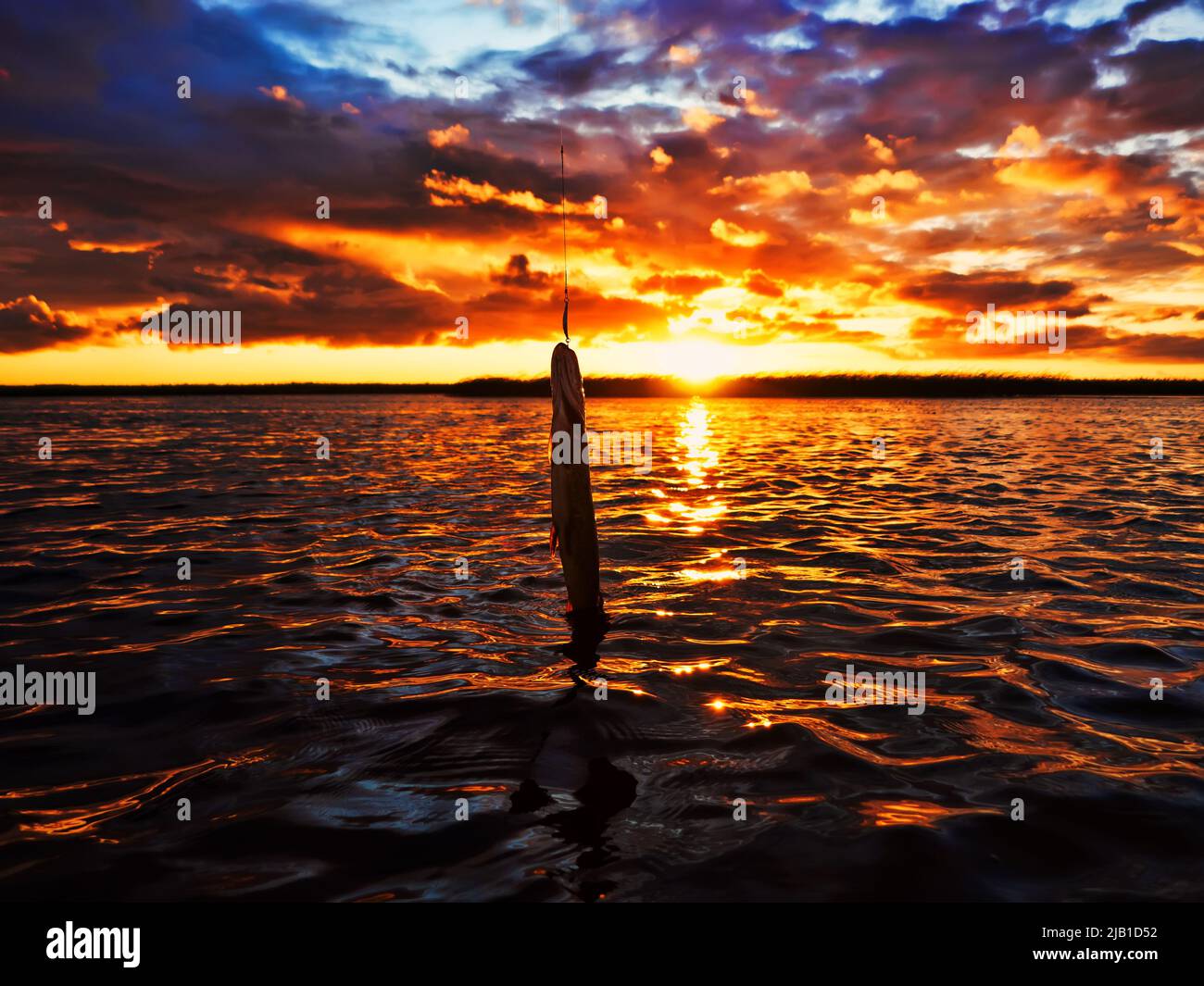 Fishing at sunset. Catching predatory fish on spinning. Sunset colors ...