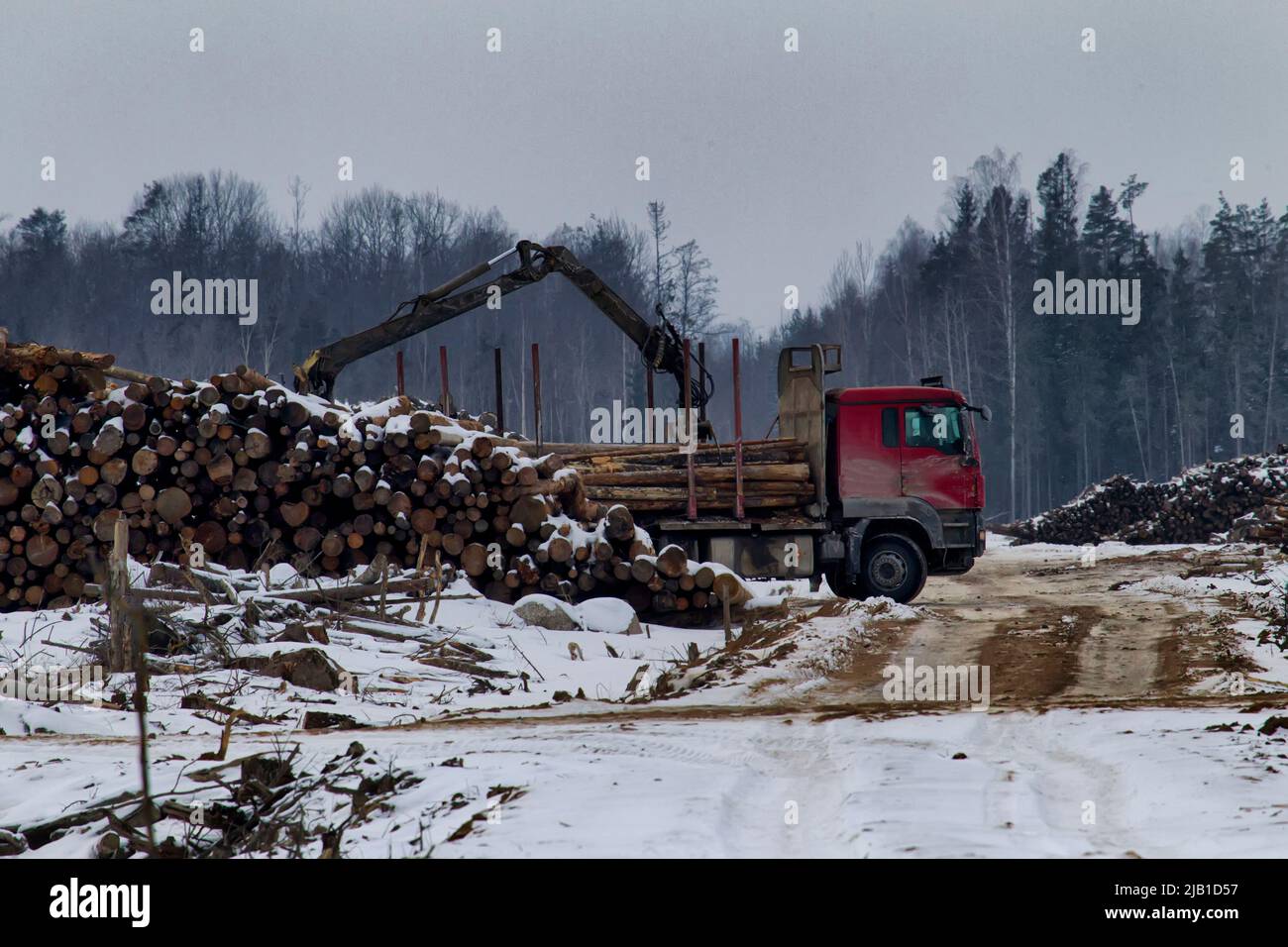 Forestry industry. Timber yard. Operations for loading-unloading ...
