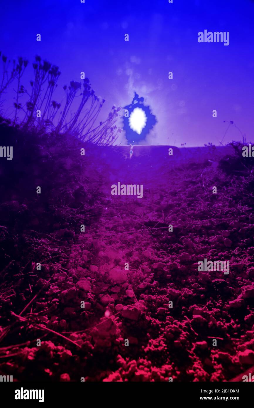 The disk of the white sun with blue rays and solar flare. Immortelles ...