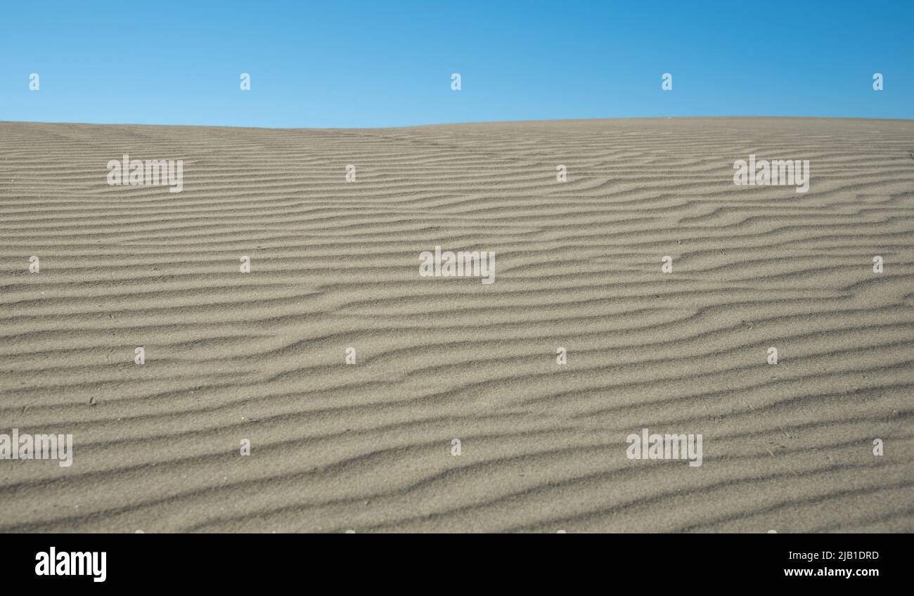 Sand dunes againt blue sky. Desert dry coast land Cyprus Stock Photo ...