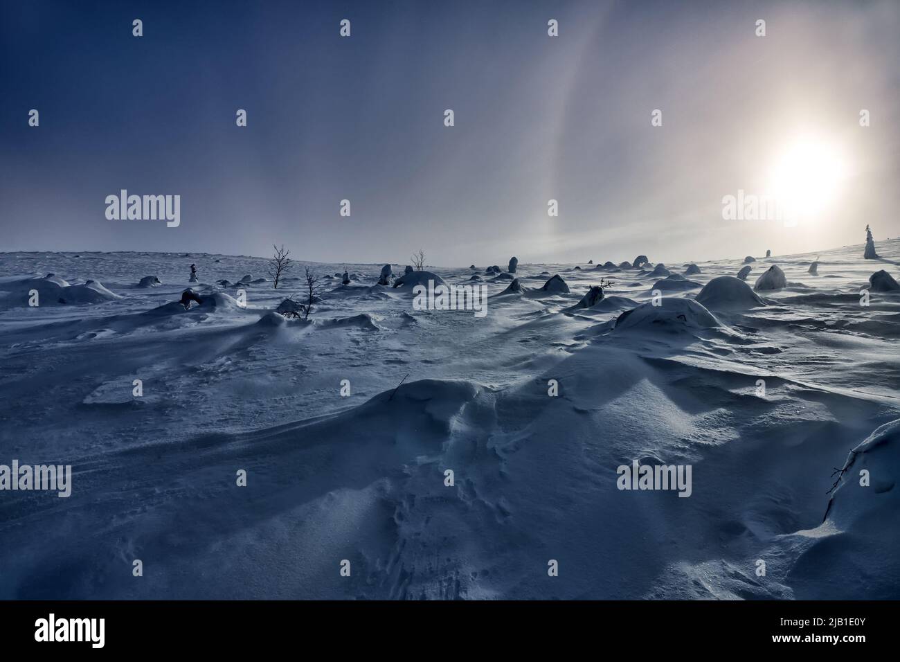 Strong wind blowing snow on hi-res stock photography and images - Alamy