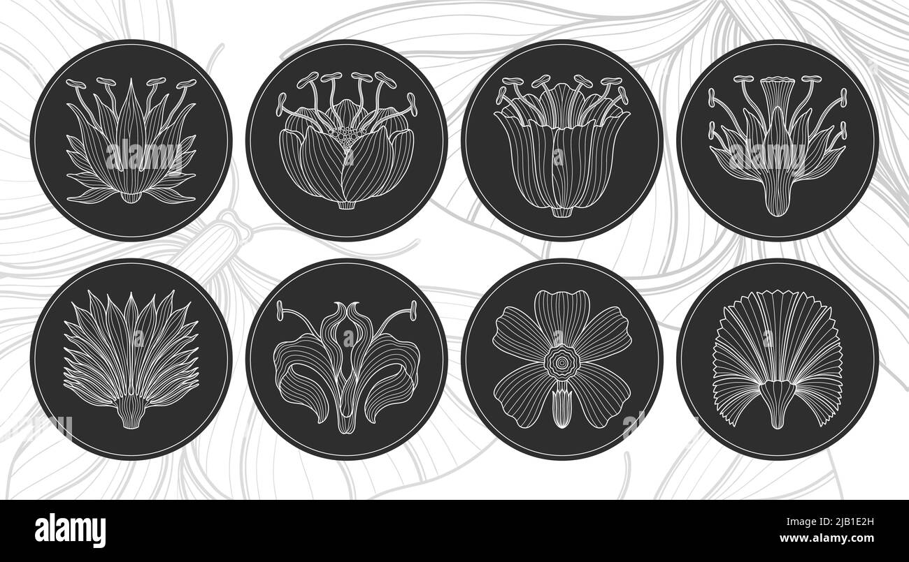 Secession badge Stock Vector Images - Alamy