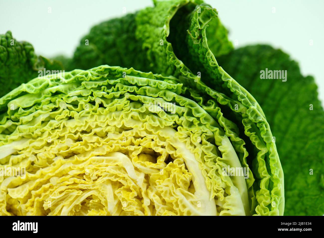Macro Savoy cabbage cross section texture. kale macro Stock Photo - Alamy