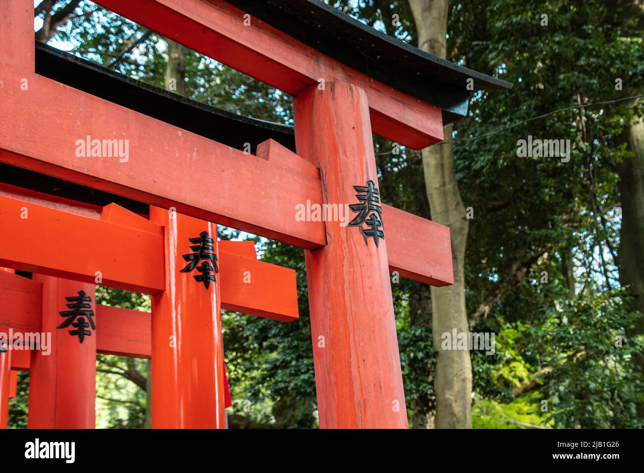 Torii gate from the Senbon Torii of Fushimi Inari-taisha. The trails ...