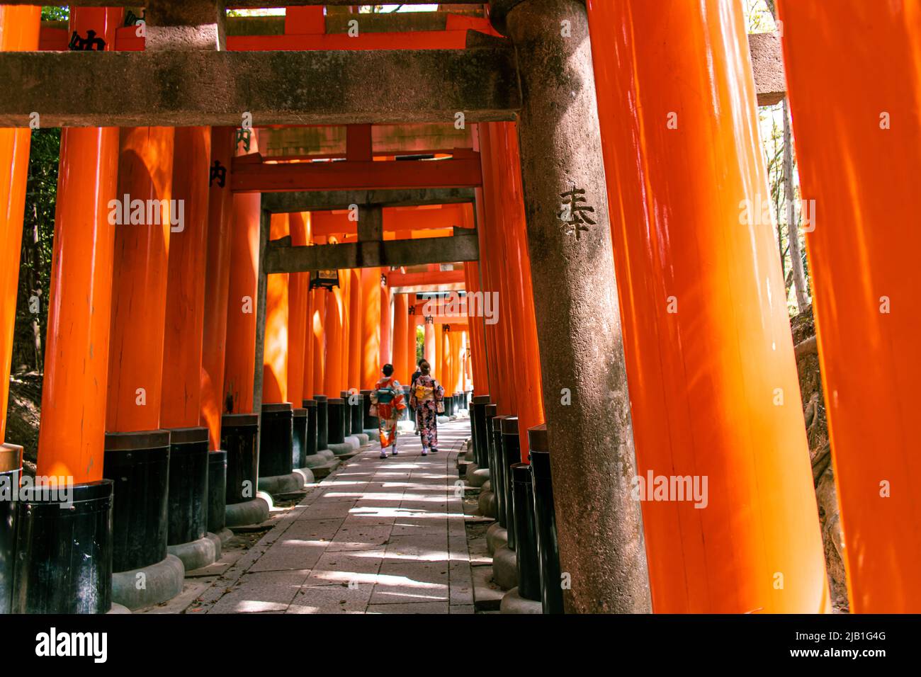 The Senbon Torii of Fushimi Inari-taisha. Trails lead into the sacred ...