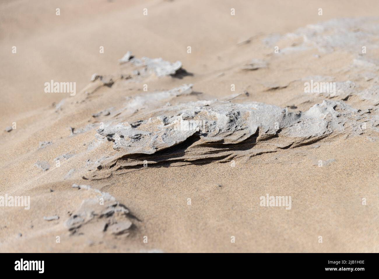 Closeup small cracked stone in dry desert area, Tottori Sand Dunes ...
