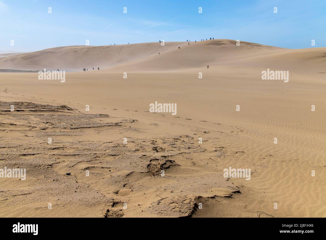 Beautiful landscape Tottori Sand Dunes (Tottori Sakyu) in sunny day ...