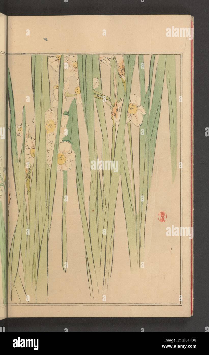 Album drawings of flowers and birds / seitei kacho blunder; Volume 2 ...