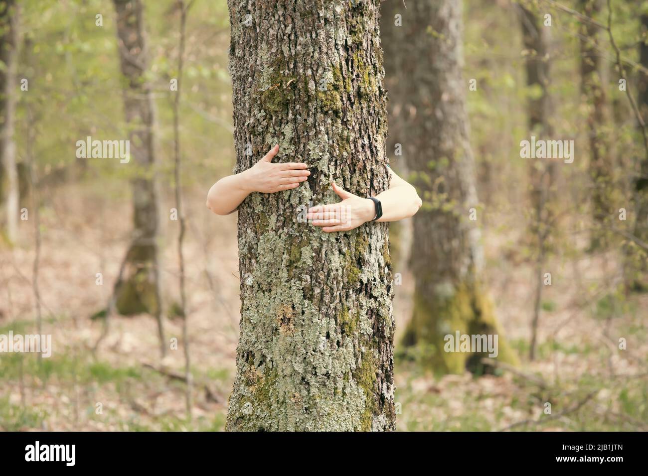 Human hans embracing a tree trunk. Embracing, protecting nature concept ...