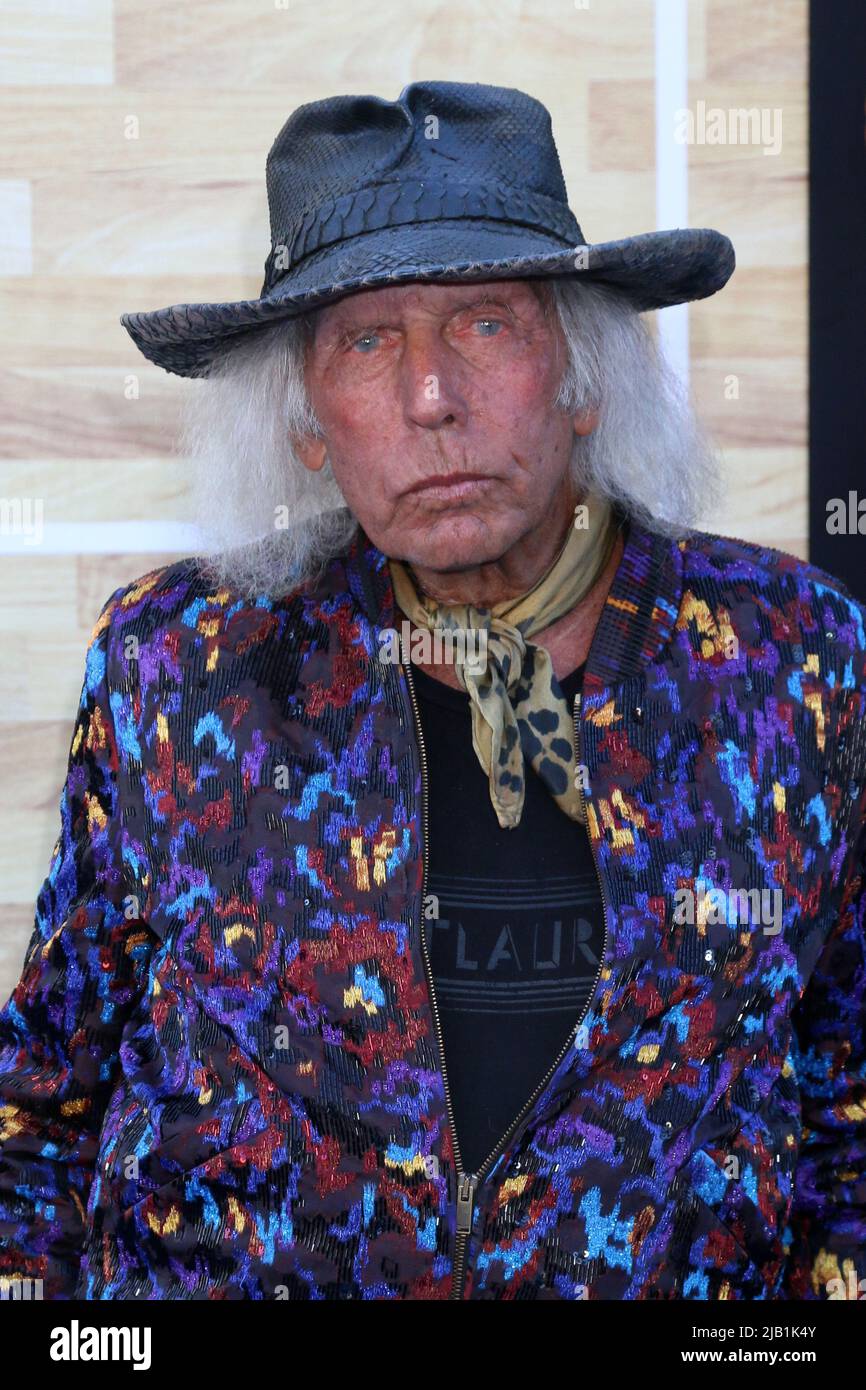 LOS ANGELES - JUN 1: James Goldstein at the Hustle Premiere at the ...