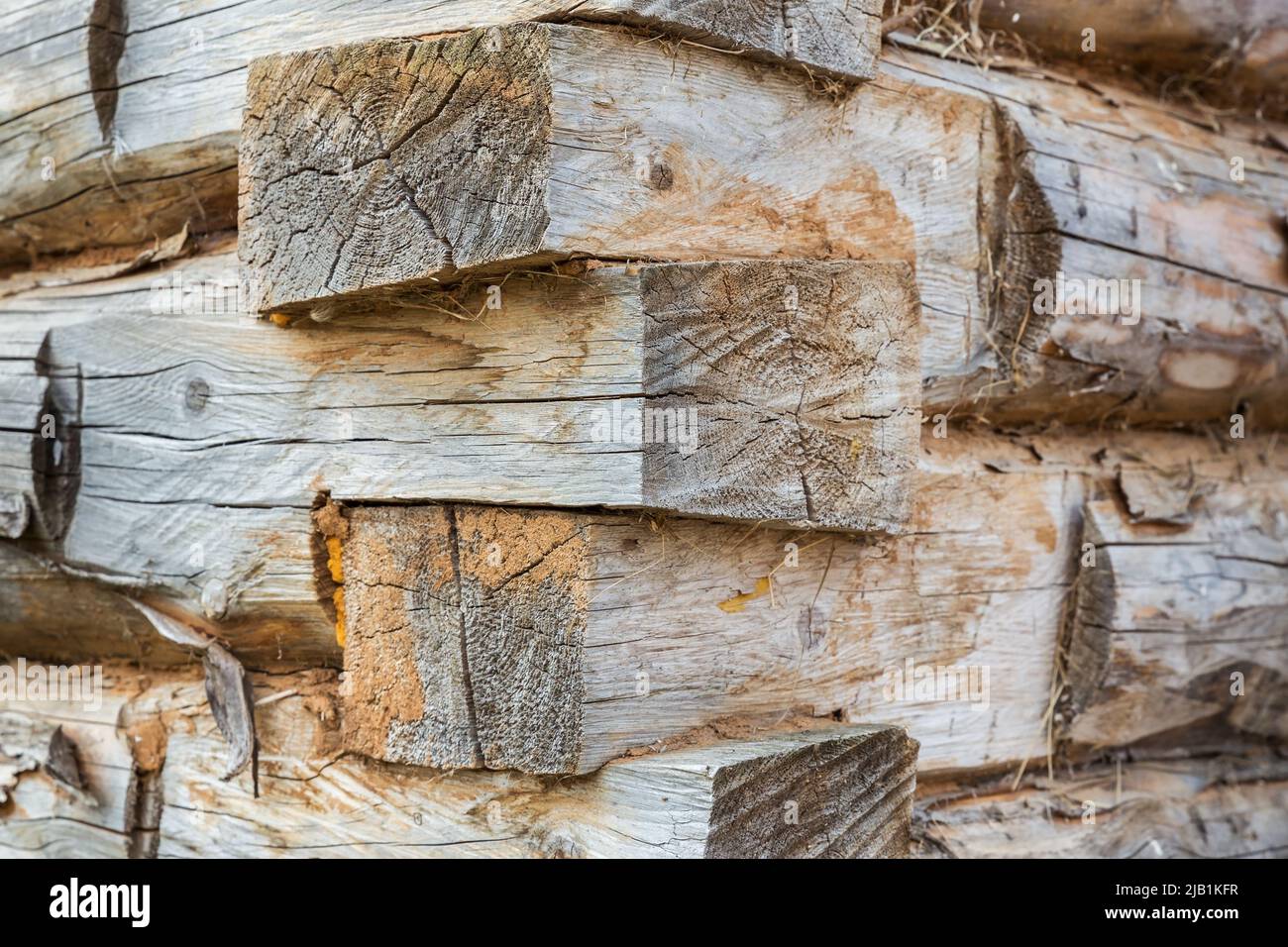 Wooden wall of logs. Corner of a log house Stock Photo - Alamy