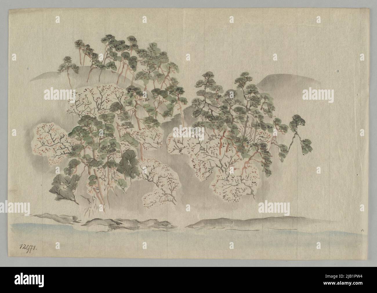 Pine trees and flowering trees by the water (II) unknown Stock Photo ...