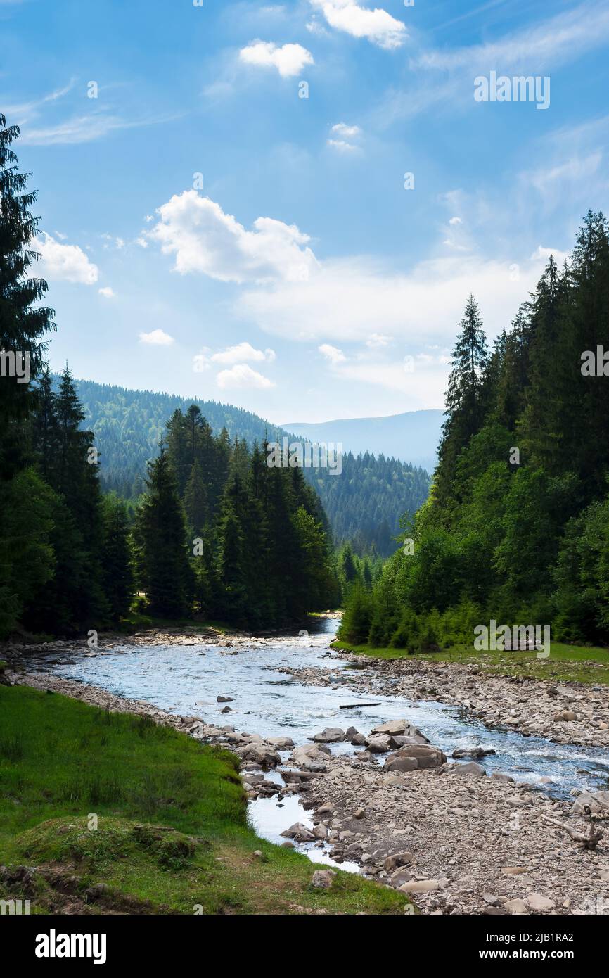 summer landscape with mountain river. nature scenery with forest on the ...