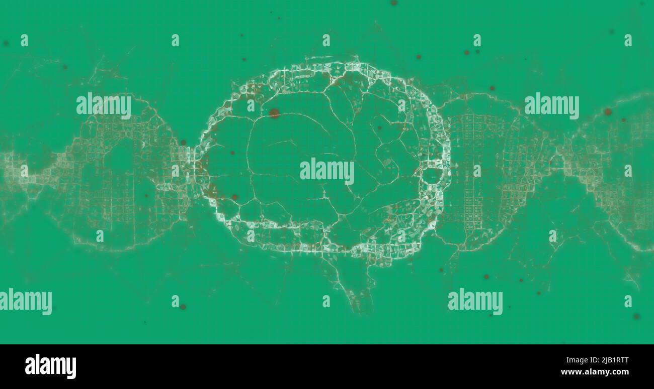 Image of brain and shapes on green background Stock Photo - Alamy