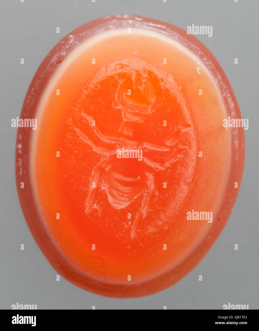 Ant colony behavior hi-res stock photography and images - Alamy