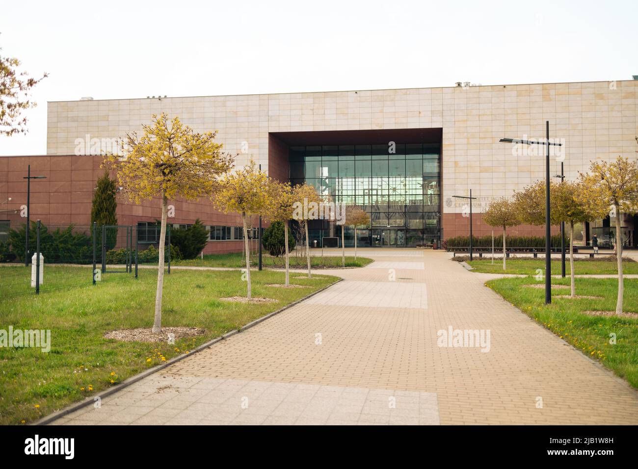 Beautiful green nature trees near modern office buildings Stock Photo ...