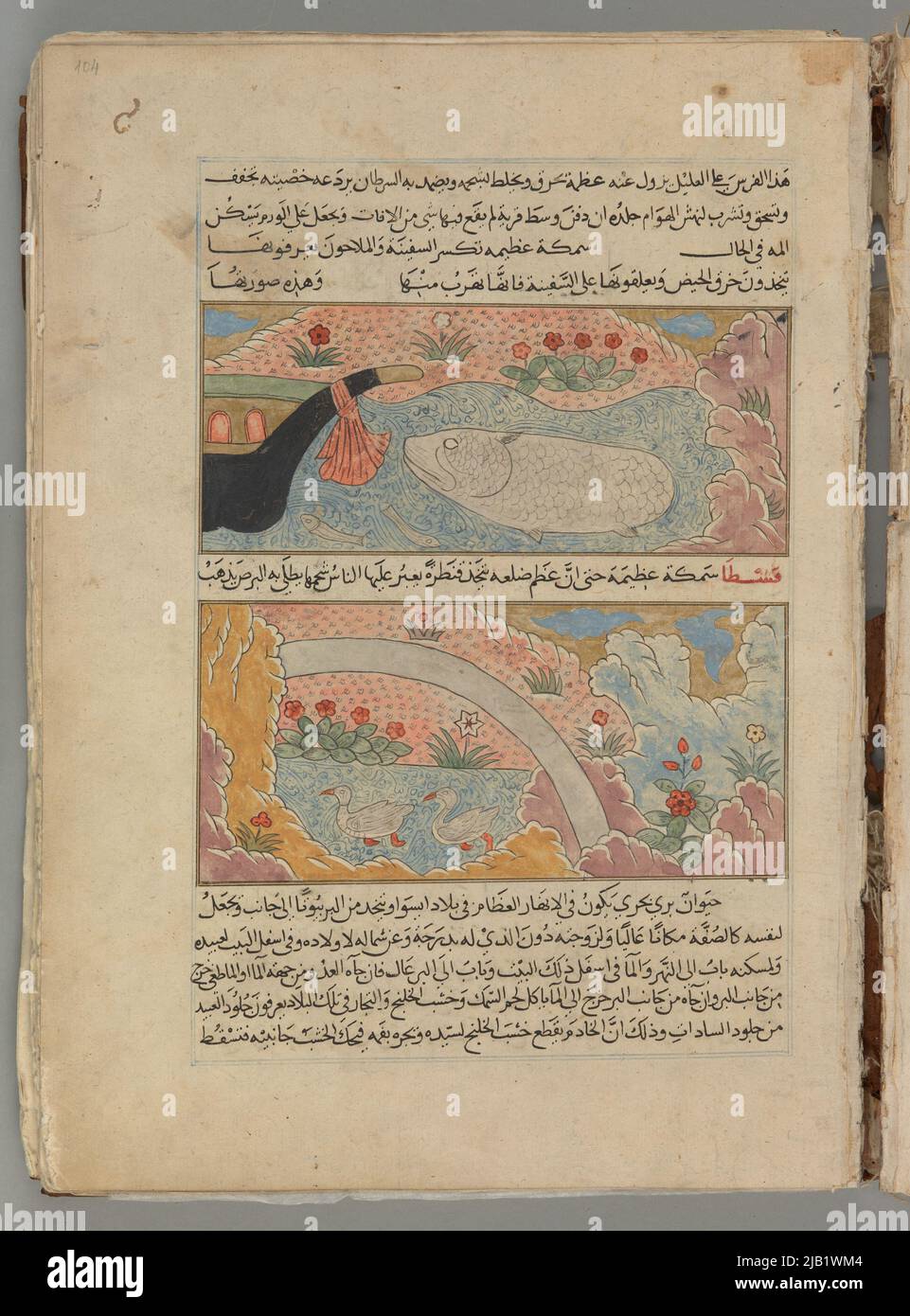 Arabic Manuscript, Illustrated with Miniatures of Various Formats ...