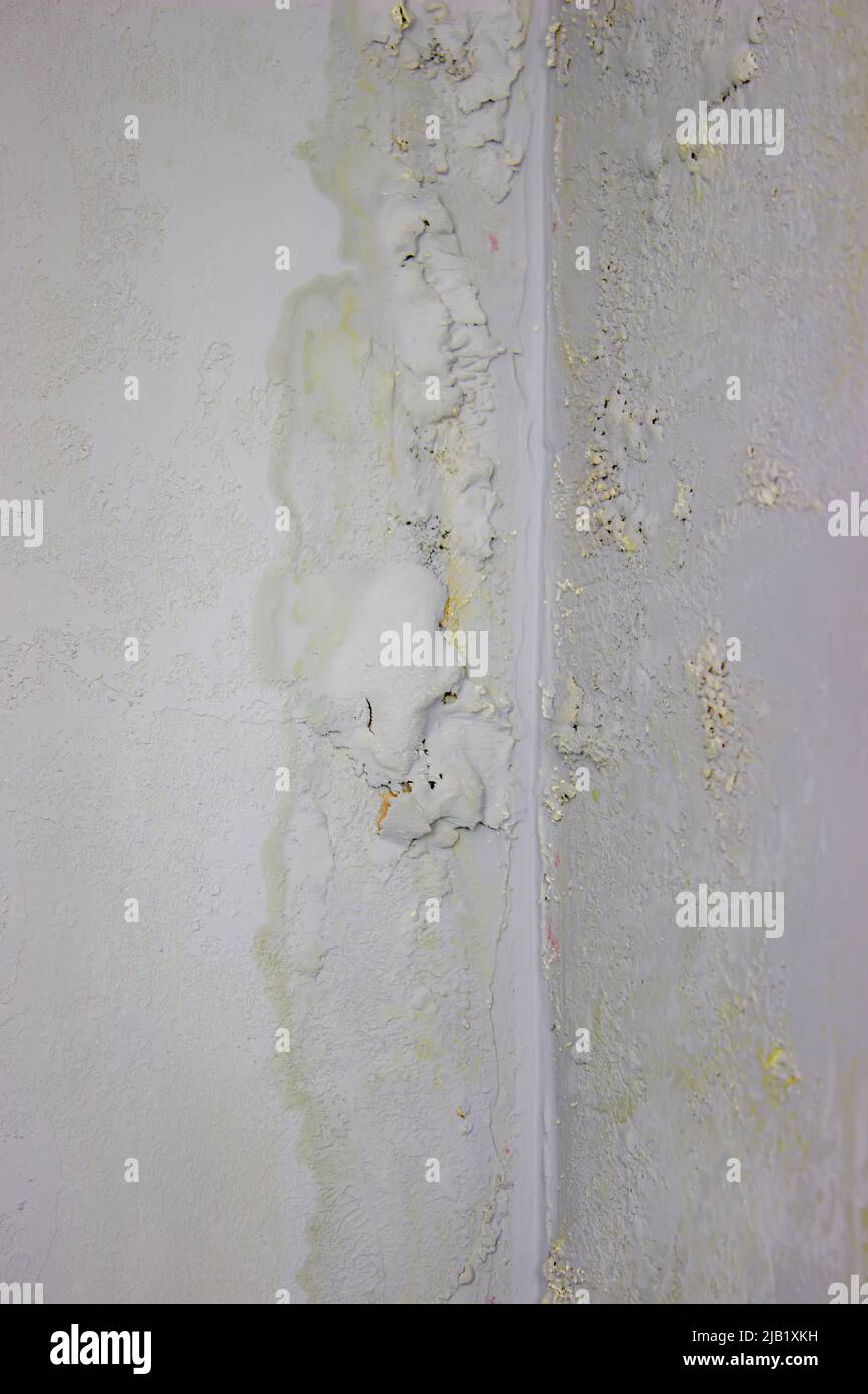 black mold on the wall. Fungus on the wall after the flooding of the ...