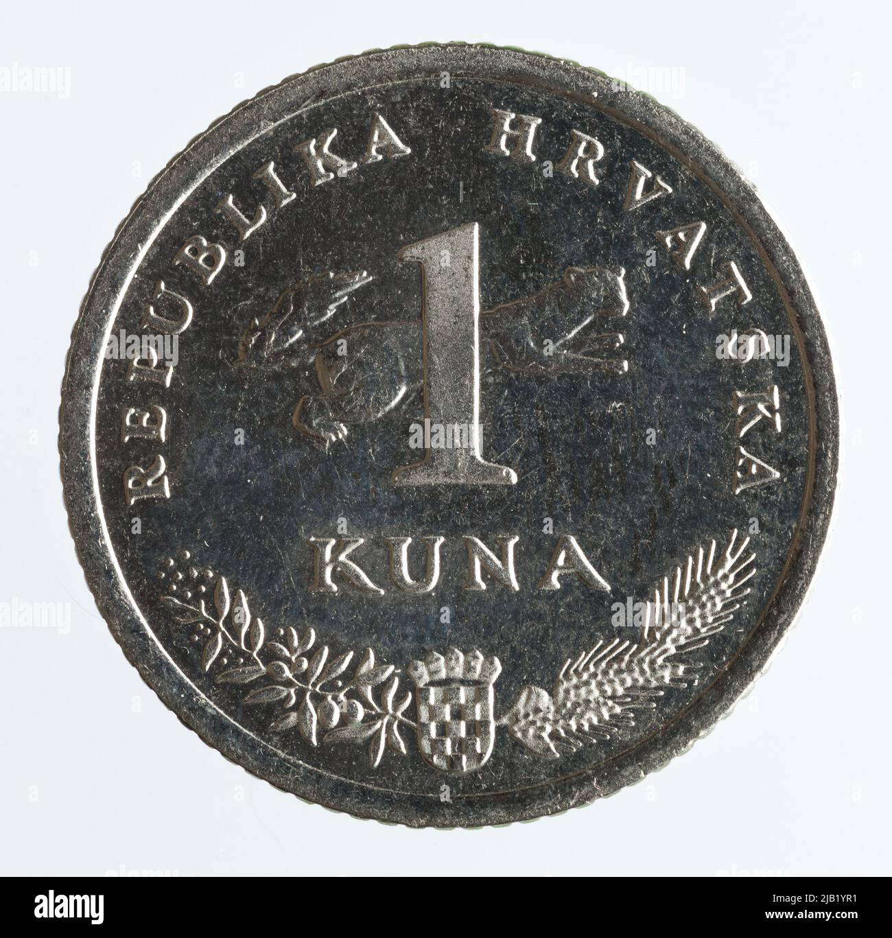 Kuna i hi-res stock photography and images - Alamy