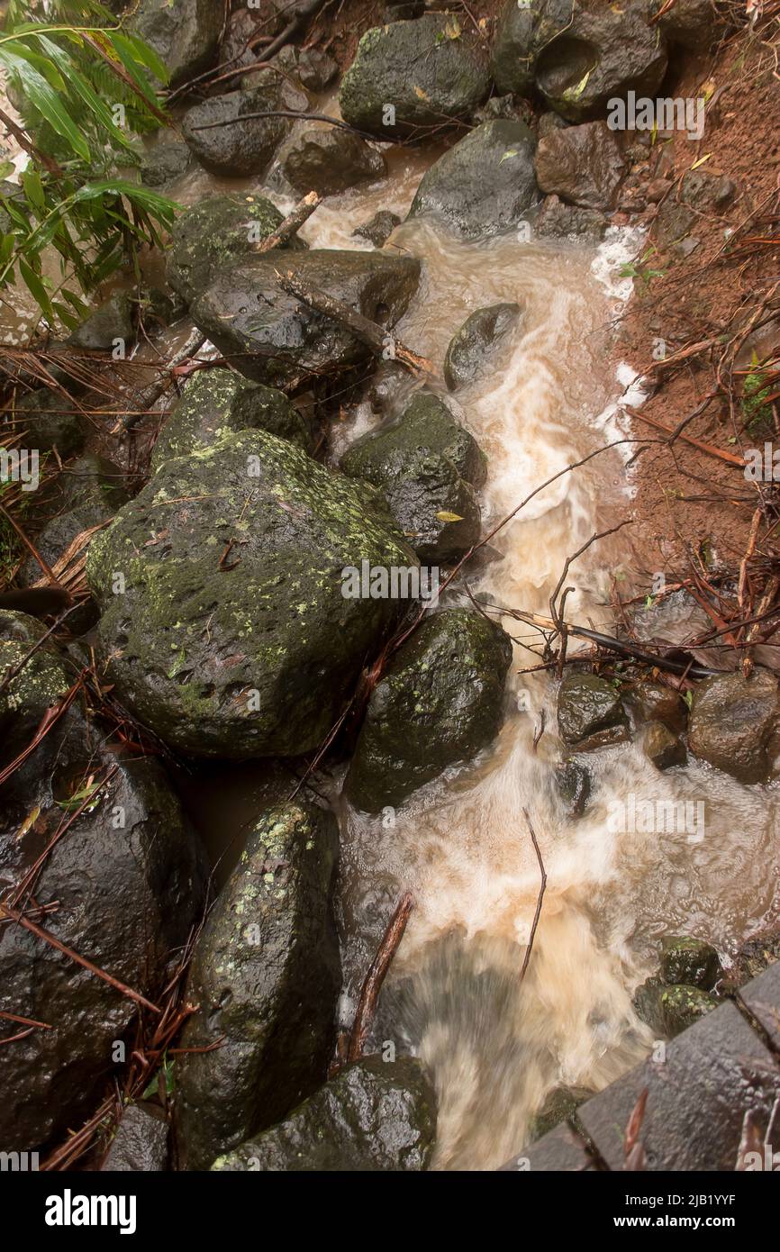 Looking down into fast-flowing creek, with basalt rocks, in lowland ...