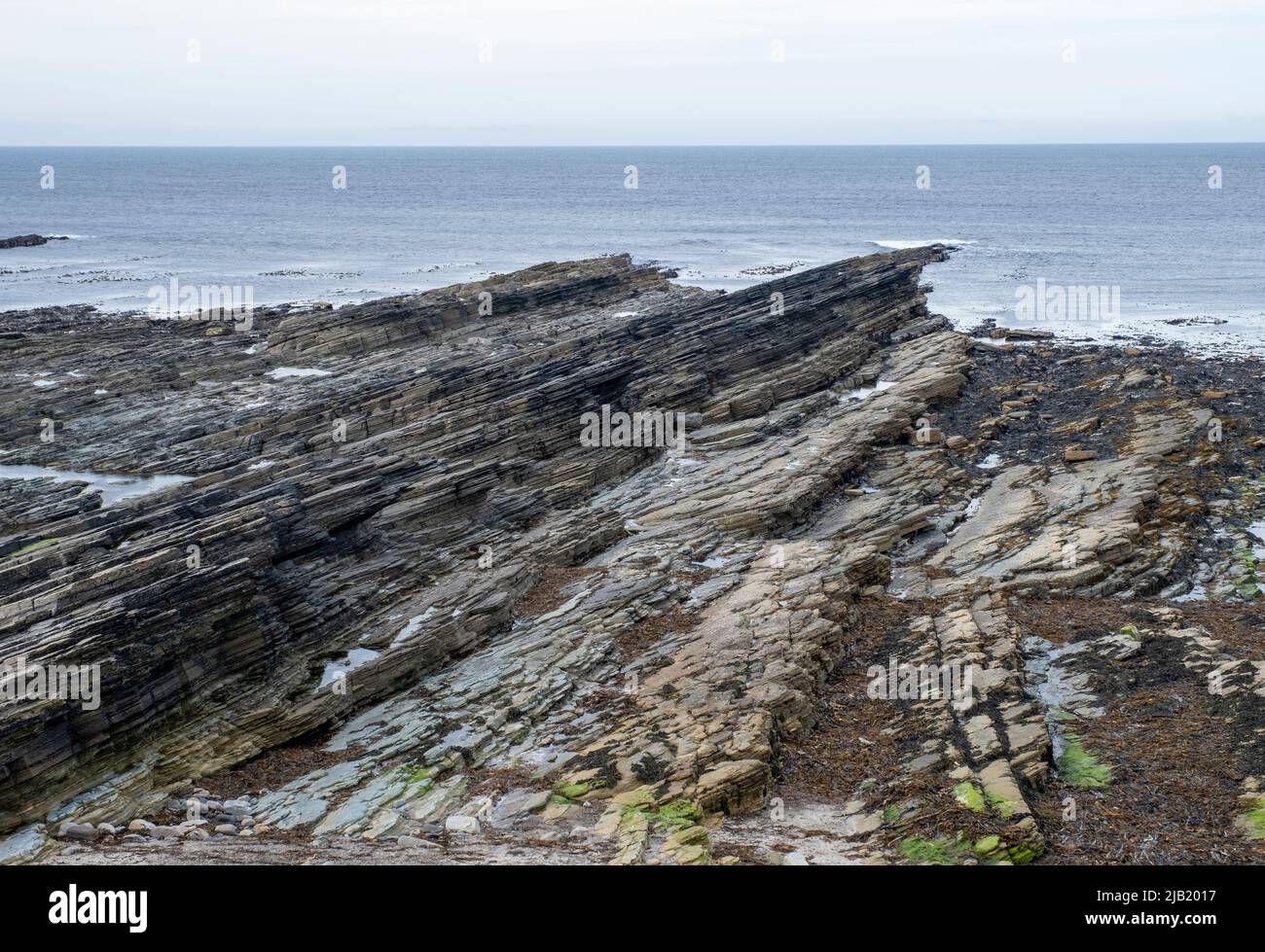 Foreshore birsay orkney hi-res stock photography and images - Alamy