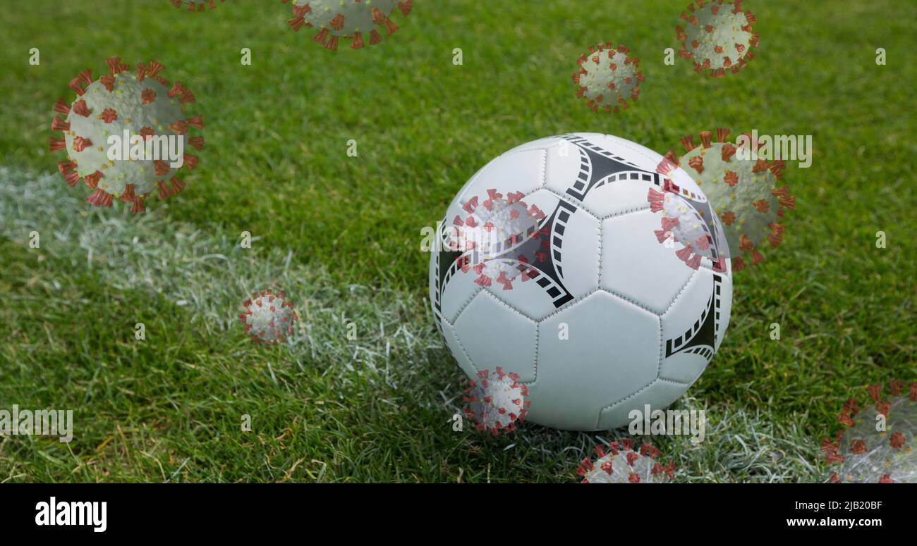 Ball cells hi-res stock photography and images - Alamy