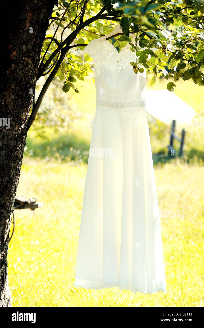 Bride dressing wedding gown Stock Photo - Alamy