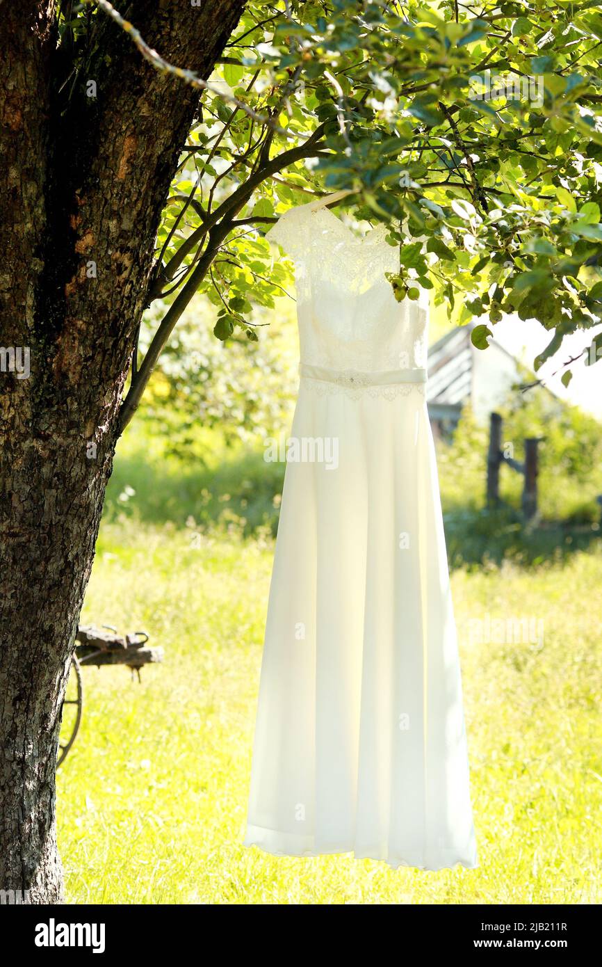 Bride dressing wedding gown Stock Photo - Alamy