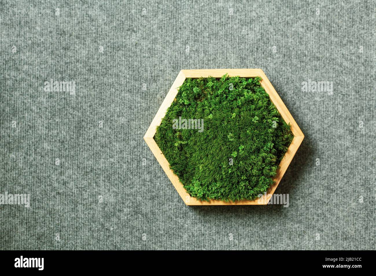 Stabilized moss in a hexagonal wooden box. Eco-friendly interior detail ...